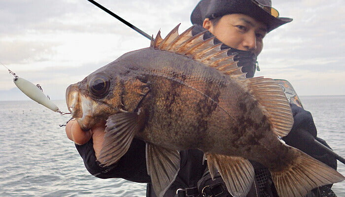 フロッパーブロス55 FLOPPER Bros 55 シンキング 11/TMチャート 55mm 5.3g – フィッシングマン